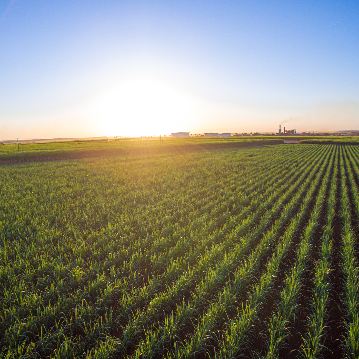 Beam Task Table Lamp | Haworth