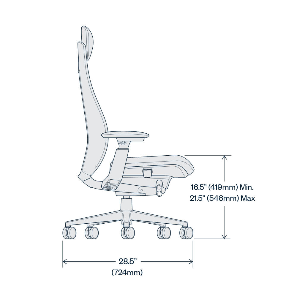 Fern Executive Office Chairs