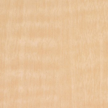 CHAMPAGNE SAGAWOOD (WM8349T) Surface | Haworth