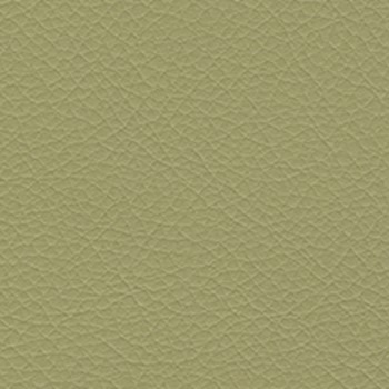 EVOLUTION Surface | Haworth