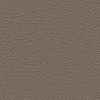 EVOLUTION Surface | Haworth