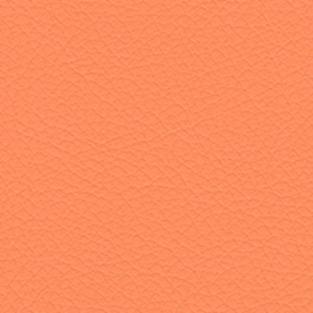 EVOLUTION Surface | Haworth