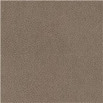 SILICONE SWAYED ZH-7JE Glaucous Surface | Haworth