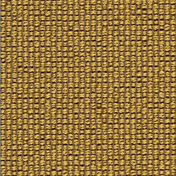 AMPLE Surface | Haworth